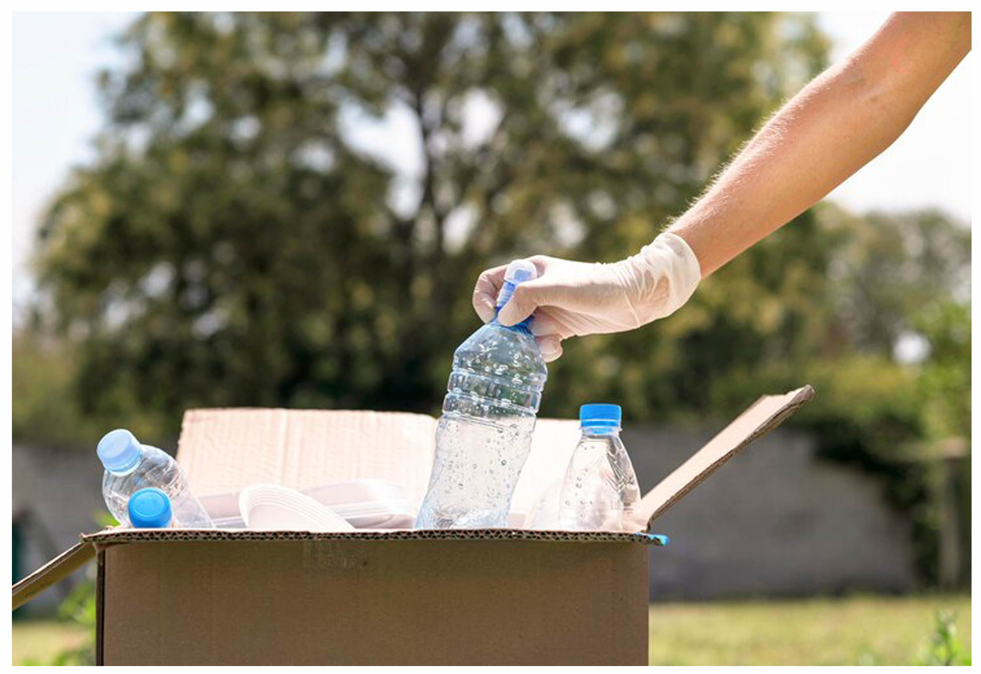 Polymerupdate Academy- The Circular Economy, Sustainability, and ...